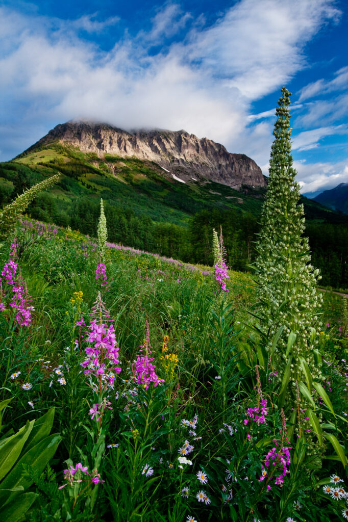 Welcome to Timothy Faust Photography - Timothy Faust Photography